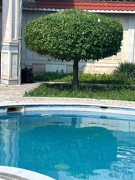 Arzon mehmonhona.hostel