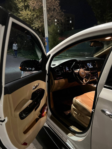 Kia Carnival 2019 yil