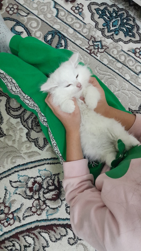 Сибирская девочка
