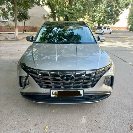 Hyunday Tucsan своя