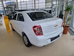 COBALT OQ 2024 yılı