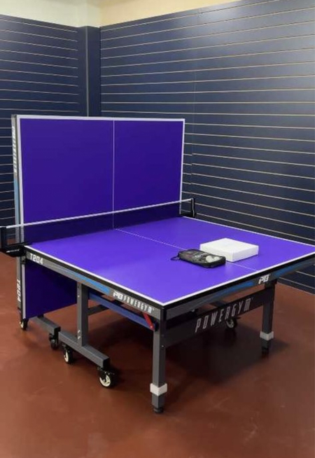 Стол для Настольного тенниса T204. Stol tennis Dastavka bor!