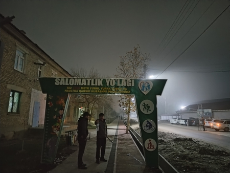 Ровер хизмати, (услуга Ровер)