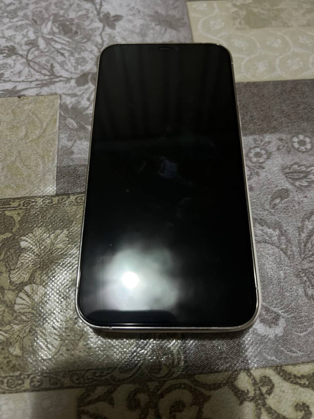 iphon 12pro max srochna