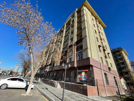 Продается нежилое помещение  Ул КУШБЕГИ 1 ЛИНИЯ  224м2