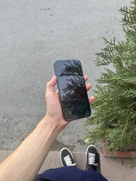 iPhone 12 pro max  ideal