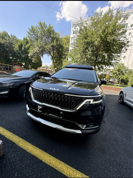 Kia Carnival Hi-limousine 2022
