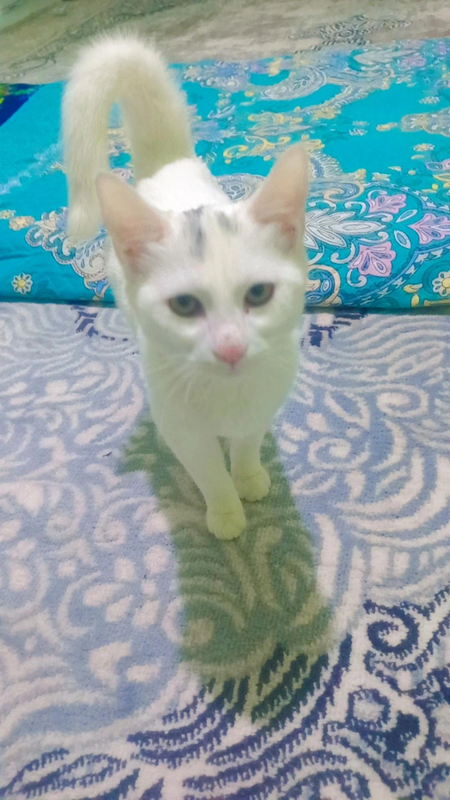 Mehribon yaxshi insonlarga
