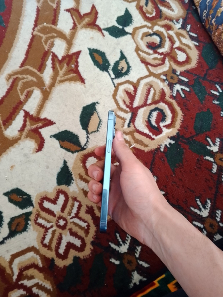 Iphone 13 pro max ideal