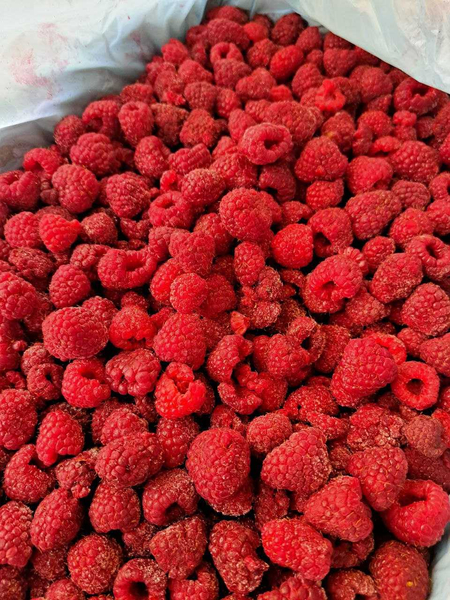 Замороженные Фрукты