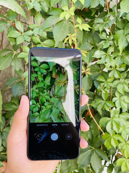 Honor X9 Karobkalik