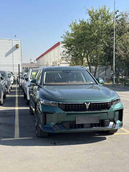 VOYAH Free 2024 Full Option Hybrid