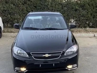 GENTRA QORA 2024 yılı