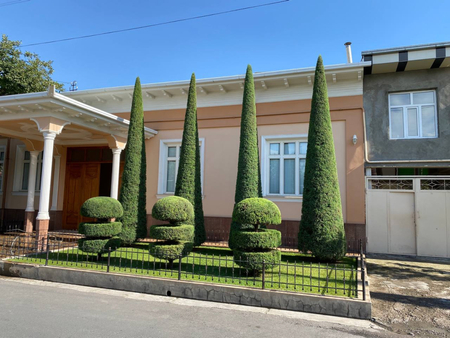 Archa kesish va davolash xizmati