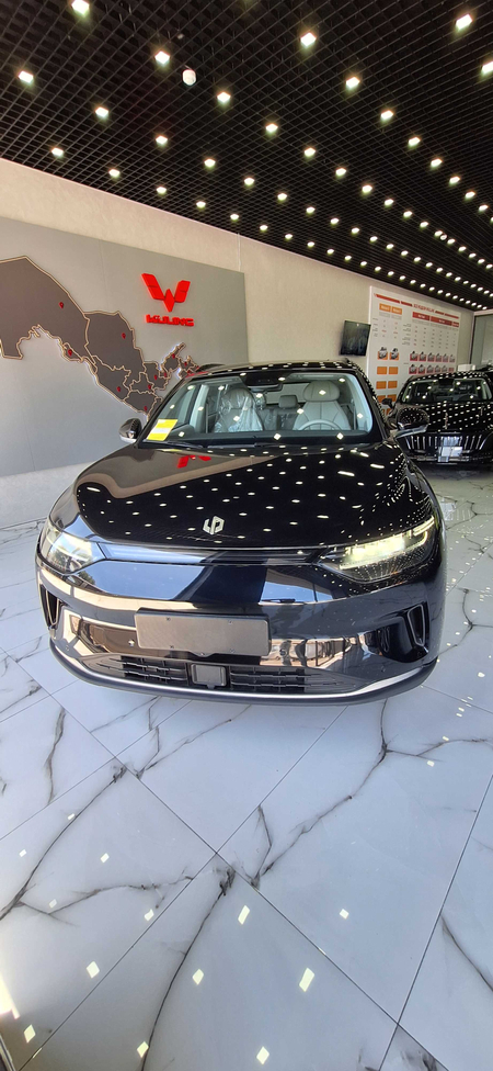 Leapmotor C11 550 km
