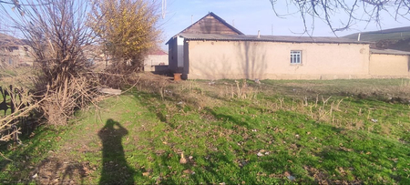 Hovli sotiladi shorvoq betonkadan 10 kilometr tepada