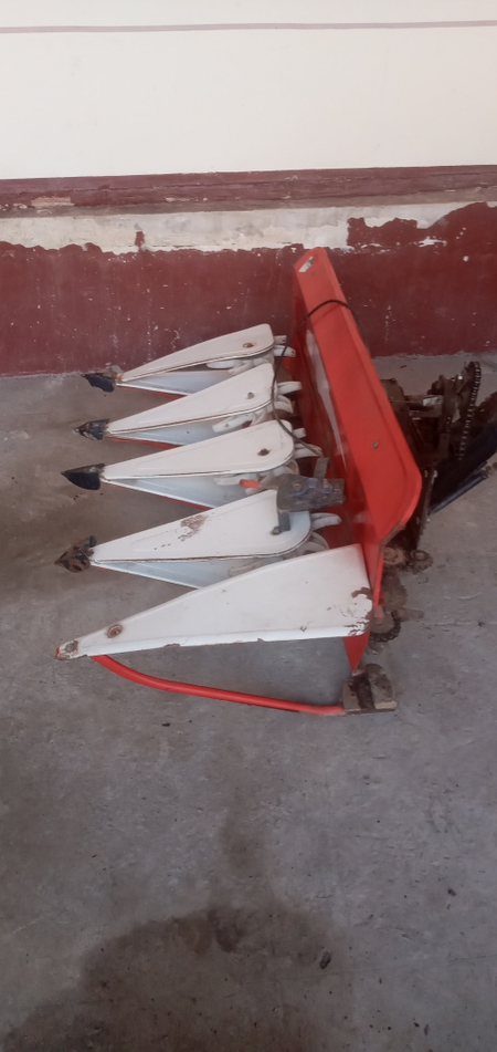Jatka ikki parrakli