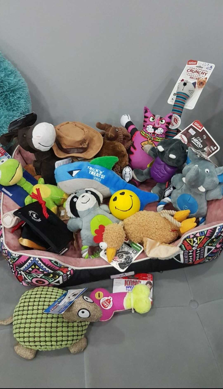 Салон Zoogrooming предлагает широкий спектр услуг для животных.