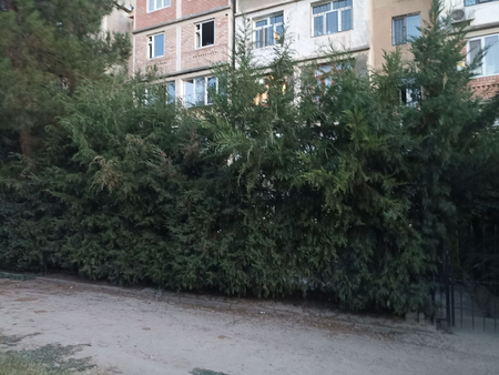 недвижимость агентство