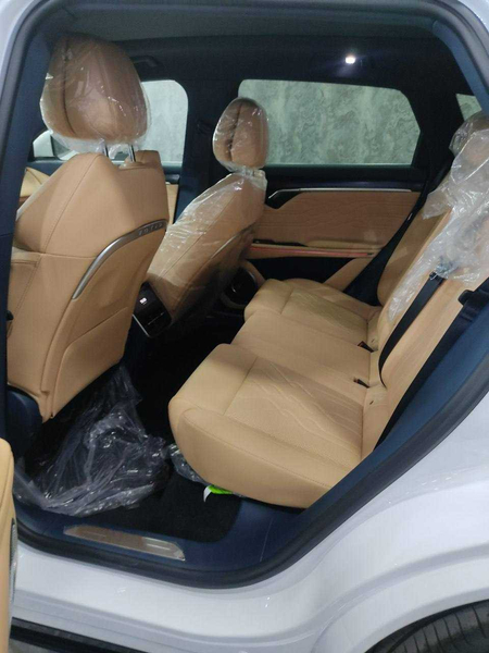 Voyah free full Dual motor