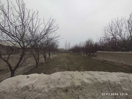 Ховли уй сотилади