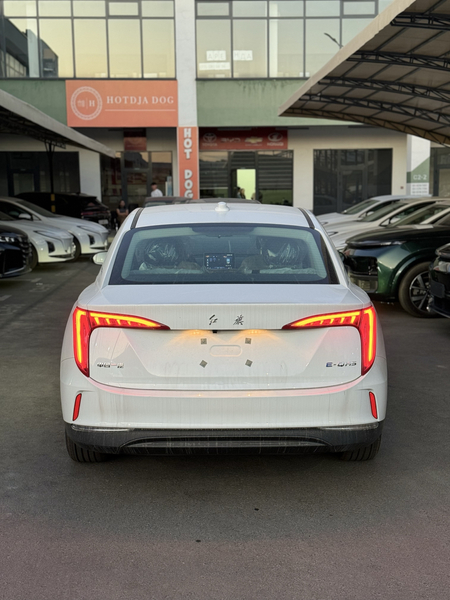 Hongqi e-qm5 2024yil km 450