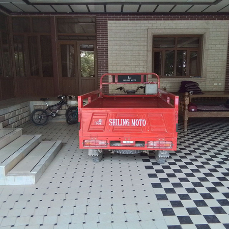 Moto muravey benzin