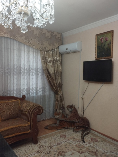 Дуружба (Райхон Ресторан) 3/5/9
