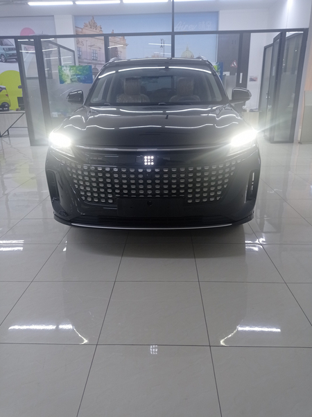 Dongfeng Fengon 2024