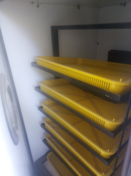 Inkubator 500 talik