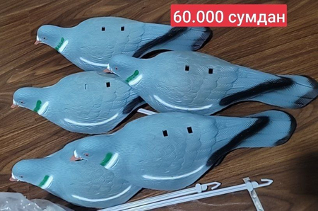 Махокрыл сотилади хар хил , утка , голубь,  чирок