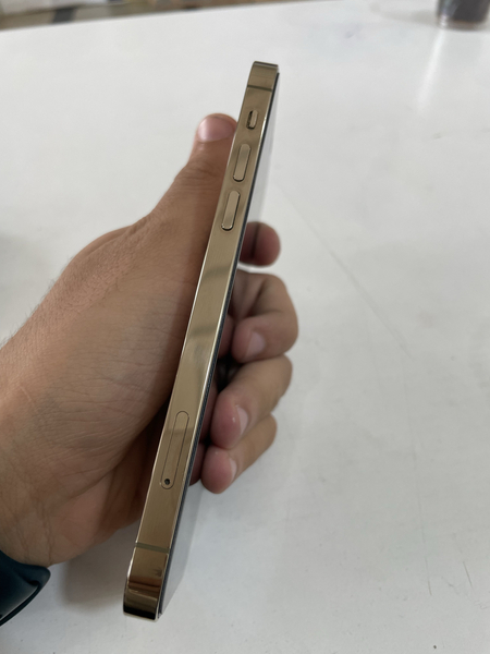 Iphone 12pro 256/81%