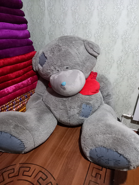 Katta Teddy Sotiladi