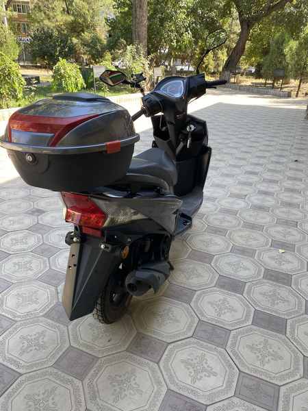 Mustang xolati pochti yangi125 kb