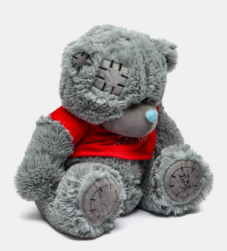 Yumshoq o'yinchoq ayiqcha teddy