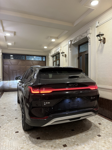 BYD Champion 2025 Restyling