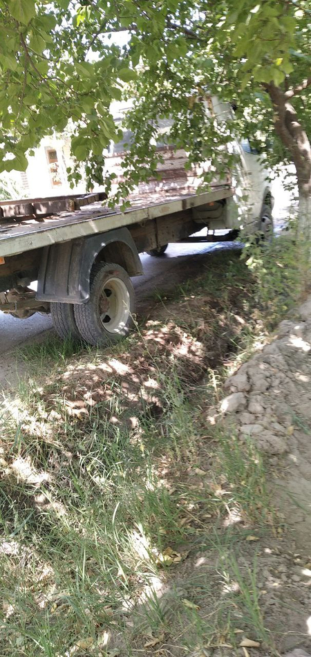 Gazel turbavoz sotiladi