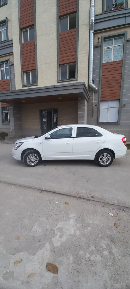 Cobalt stayl 2025 масла