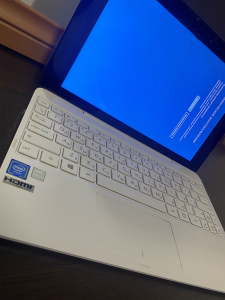 Asus neetbook srochno