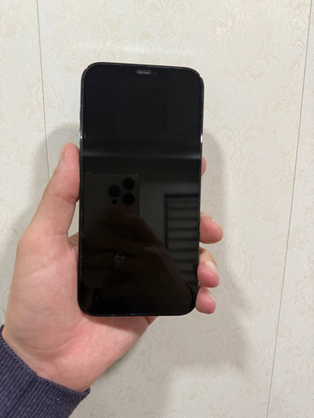 Iphone 12 pro max