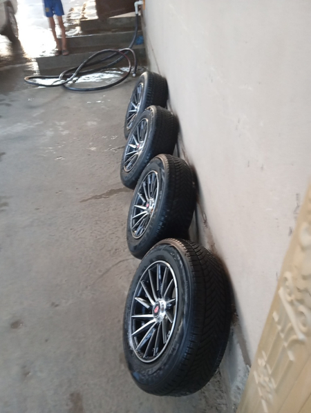 Vossen diska balon 13