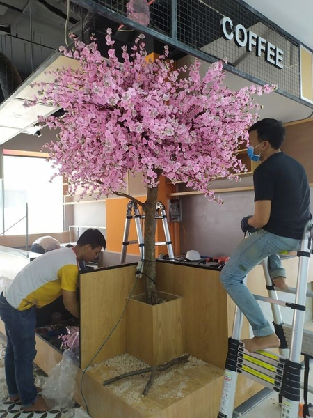 Art decor 3d yasab beramiz