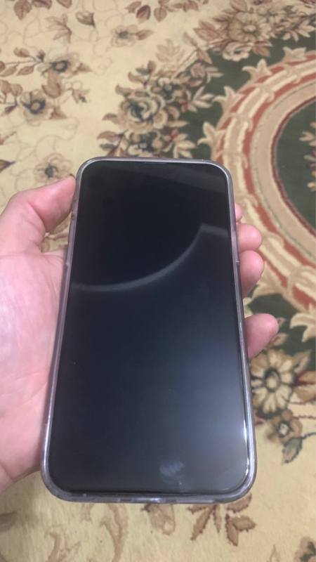 Iphone 13pro max