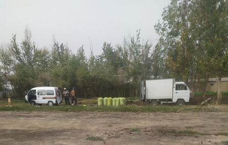 Biogomus barcha koʻchatlar uchun bor yetkazib beramiz