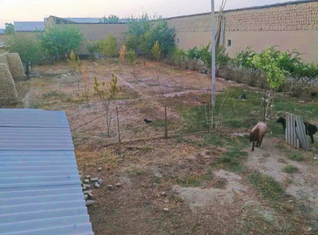 8 sotix oʻralgan yer maydoni sotiladi