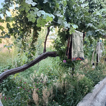Дача сазанчик оркасида