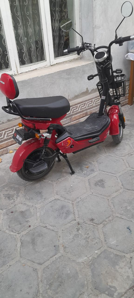 Skuter elektroni