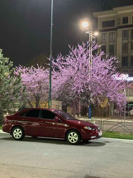 Lacetti jentra  xolati zo’r