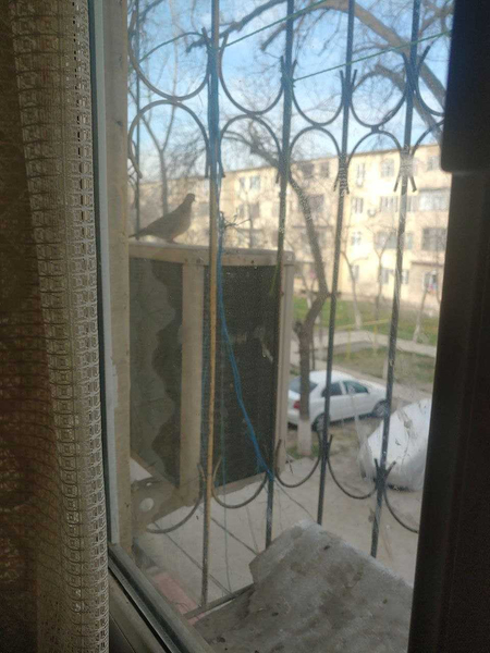 Сдается в аренду Авиасозлар-1 2