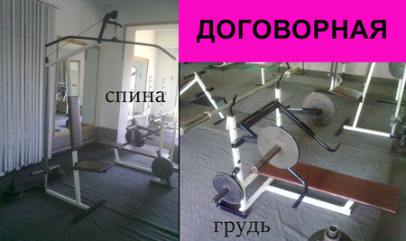 Базовые Тренажёры Жим (Грудь) и Тяга (Спина)